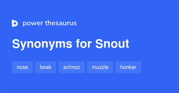 SNOUT Synonyms: 553 Similar Words & Phrases