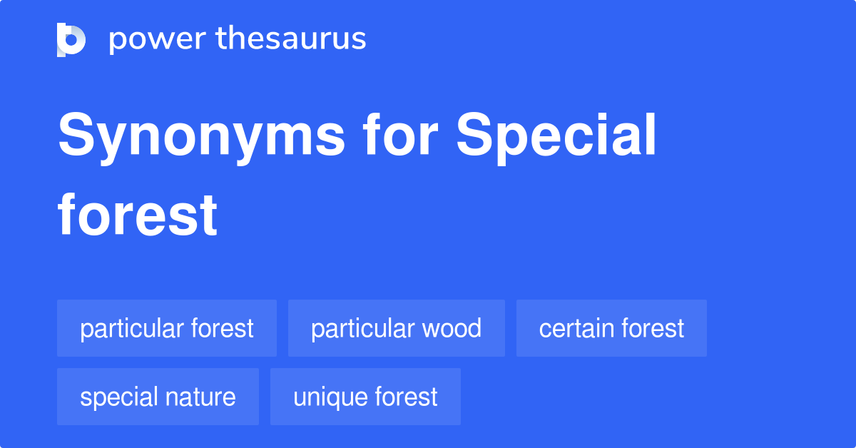 Special Forest synonyms - 8 Words and Phrases for Special Forest