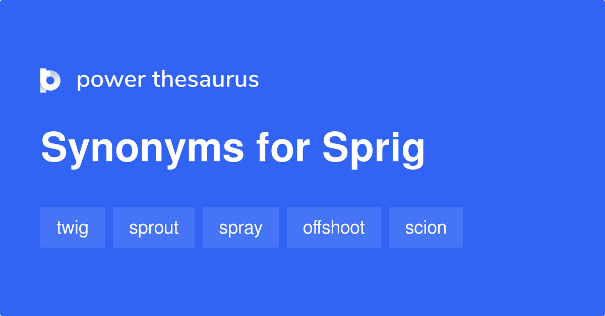 281 SPRIG Synonyms