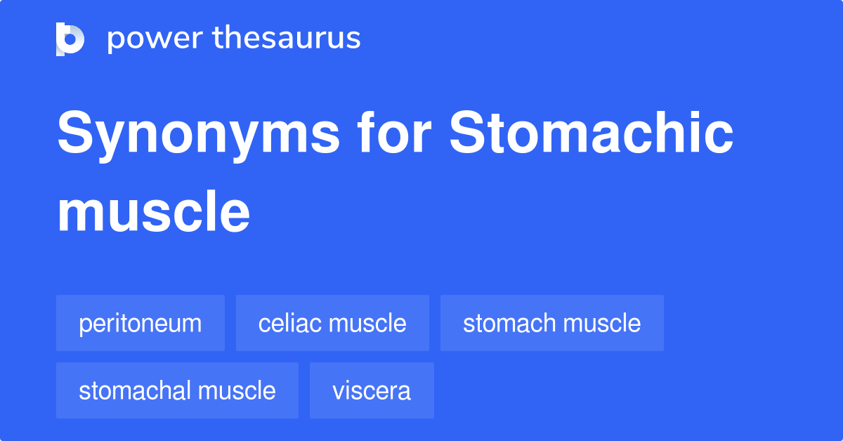 Stomachic Muscle synonyms - 9 Words and Phrases for Stomachic Muscle