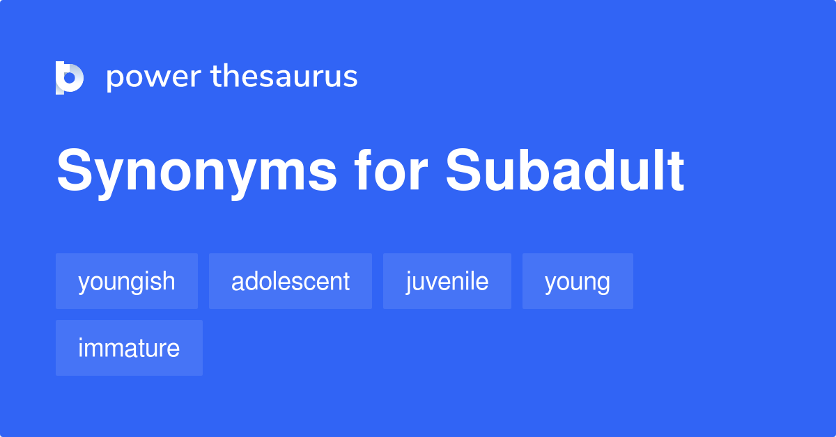 8 SUBADULT Synonyms