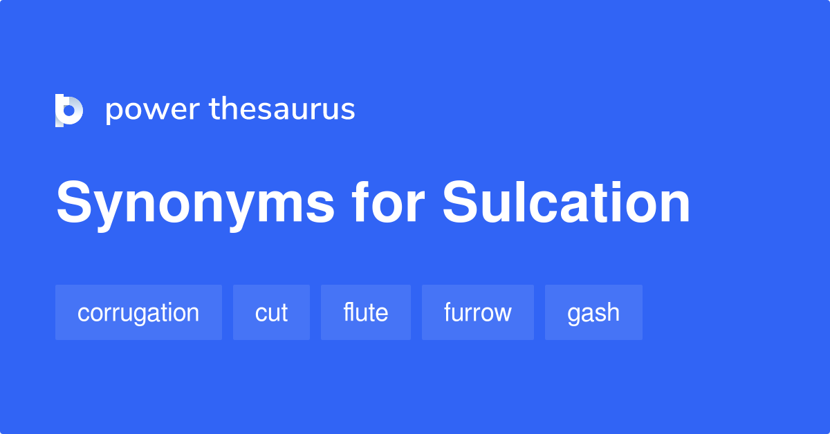 Sulcation synonyms - 32 Words and Phrases for Sulcation