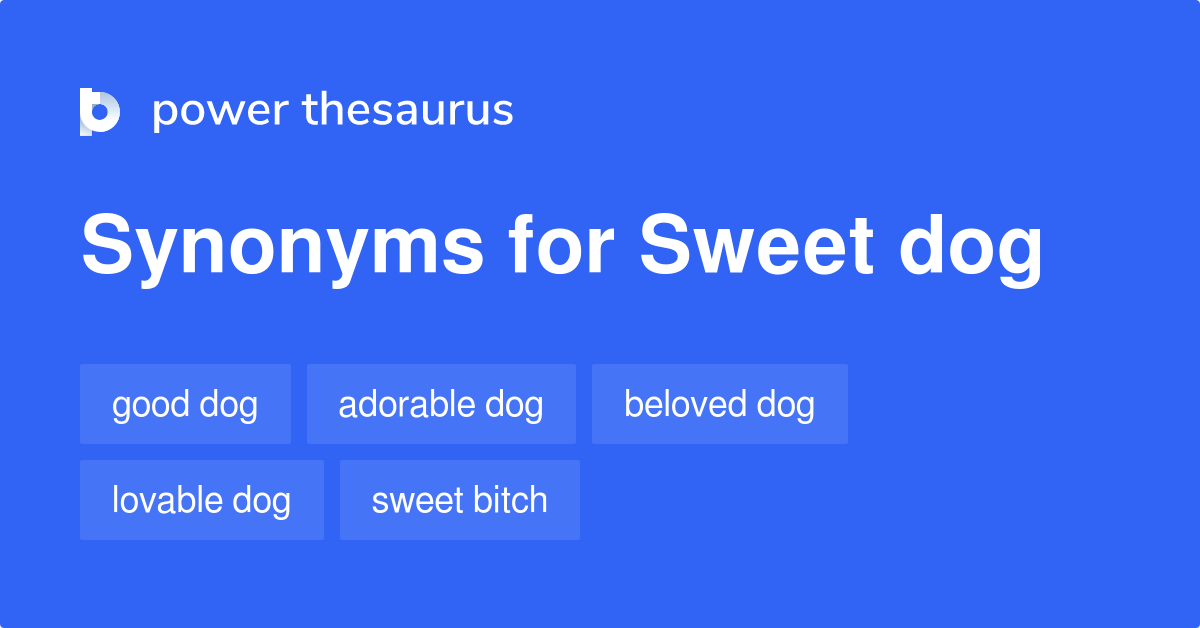SWEET DOG Synonyms: 30 Similar Words & Phrases