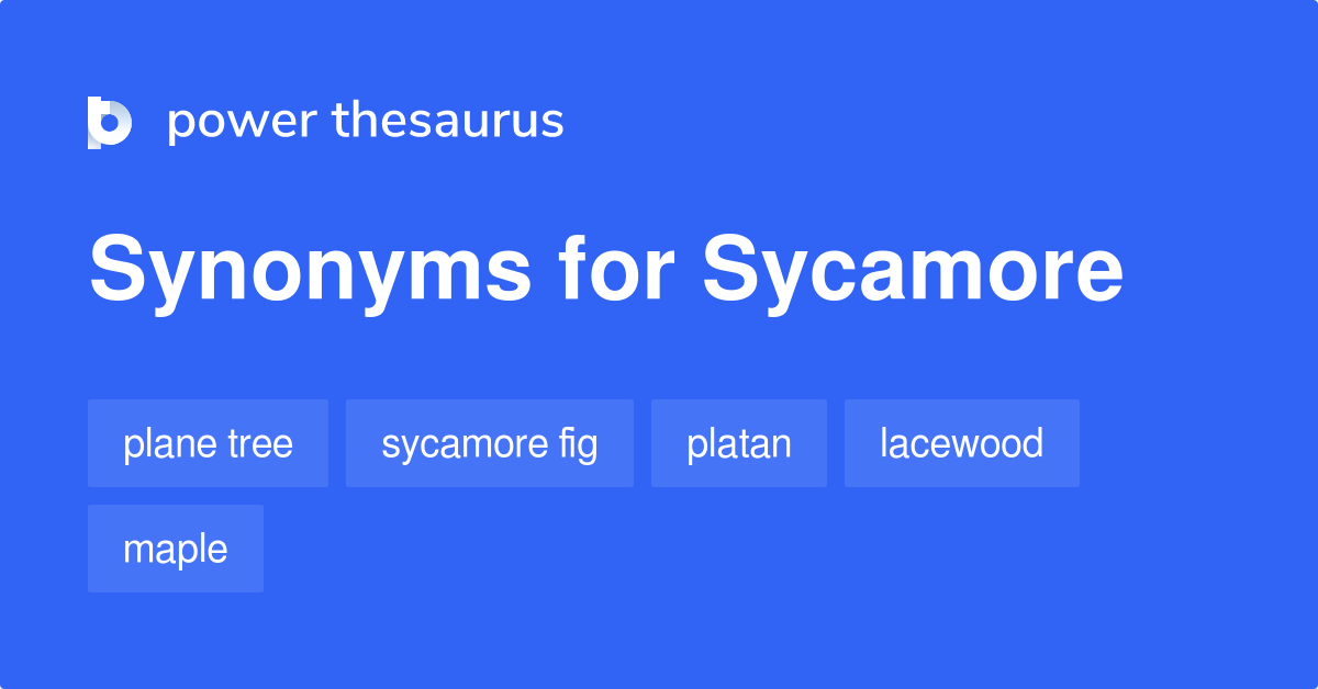 SYCAMORE Synonyms: 177 Similar Words & Phrases