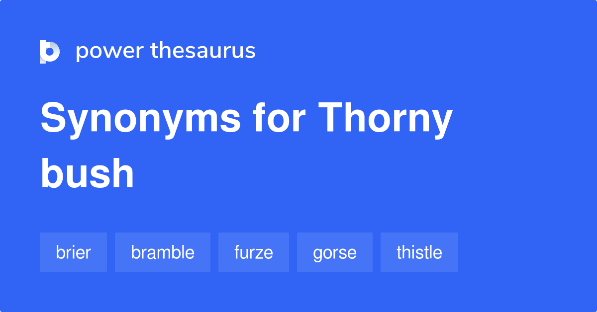 Thorny Bush synonyms - 66 Words and Phrases for Thorny Bush