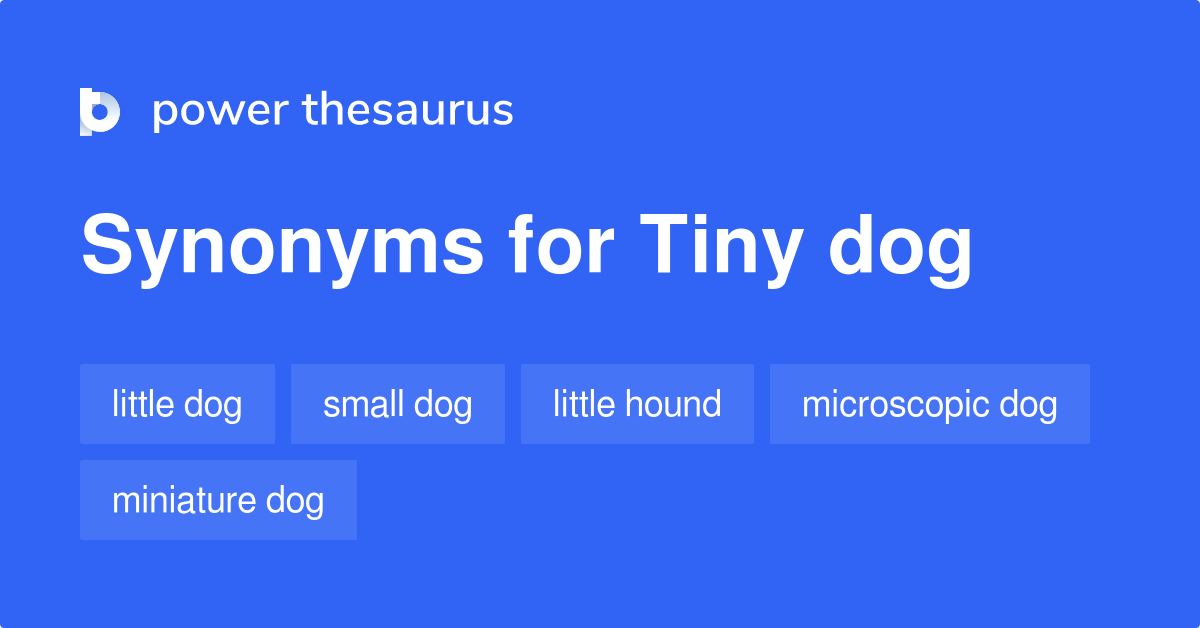 TINY DOG Synonyms: 97 Similar Words & Phrases