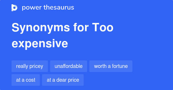TOO EXPENSIVE Synonyms: 304 Similar Words & Phrases