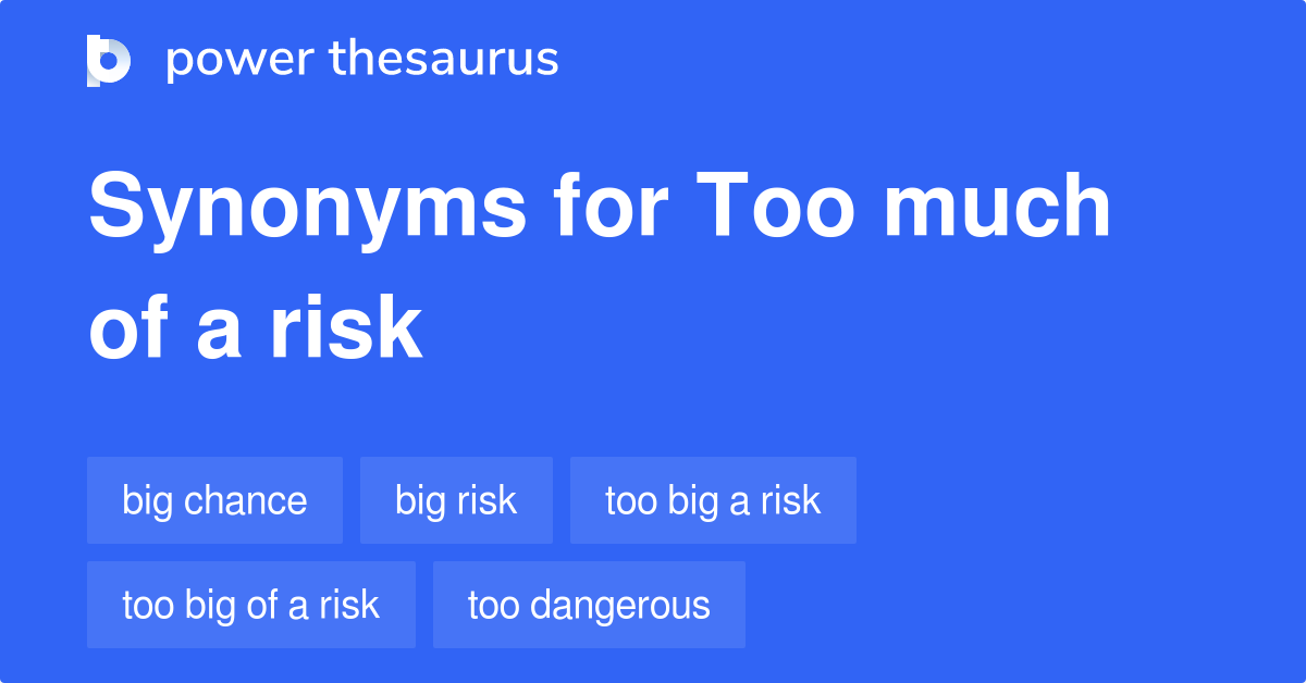 TOO MUCH OF A RISK Synonyms: 97 Similar Phrases