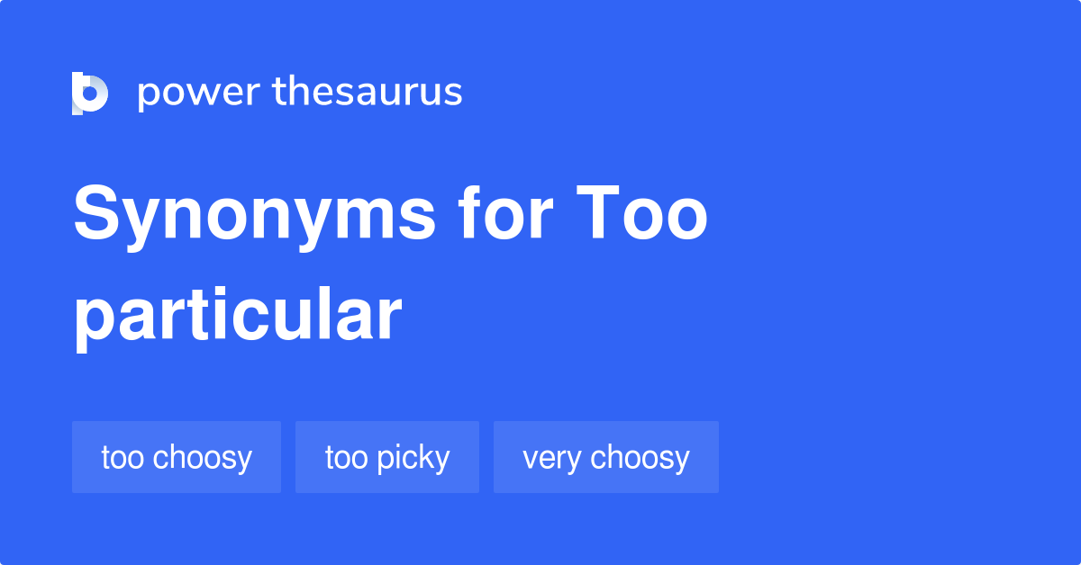 Too Particular synonyms - 41 Words and Phrases for Too Particular