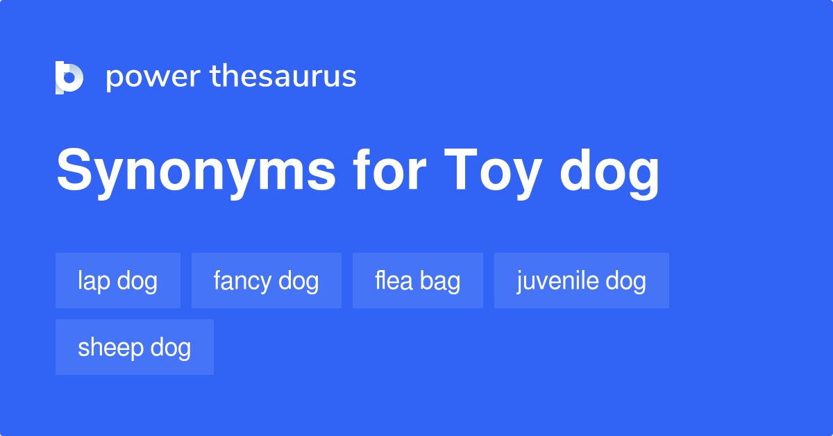 Toy Dog synonyms - 138 Words and Phrases for Toy Dog