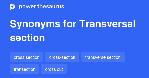 Transversal Section synonyms - 36 Words and Phrases for Transversal Section