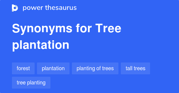 TREE PLANTATION Synonyms: 131 Similar Words & Phrases