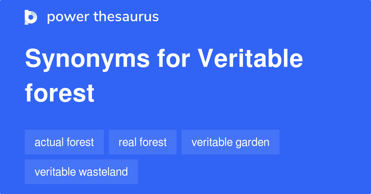 Veritable Forest synonyms - 8 Words and Phrases for Veritable Forest