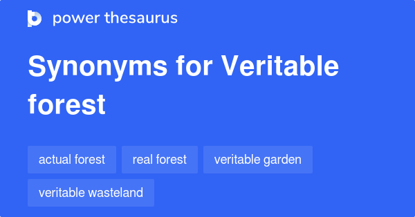 Veritable Forest synonyms - 8 Words and Phrases for Veritable Forest