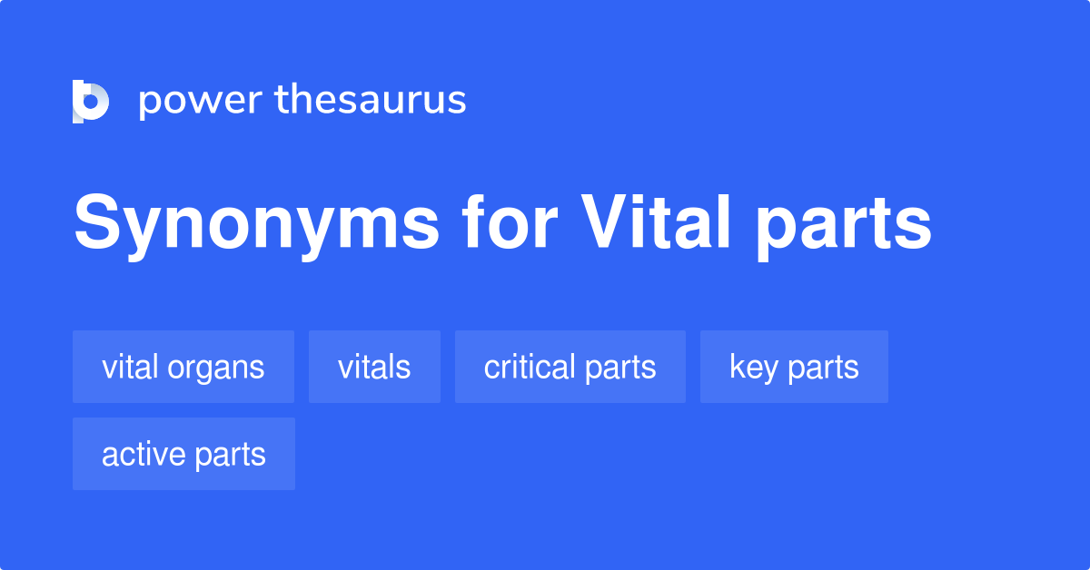 Vital Parts synonyms - 53 Words and Phrases for Vital Parts