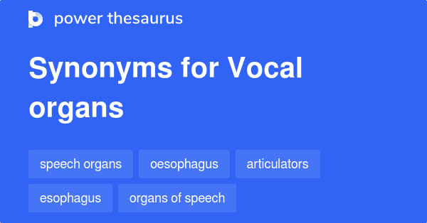 Vocal Organs synonyms - 53 Words and Phrases for Vocal Organs