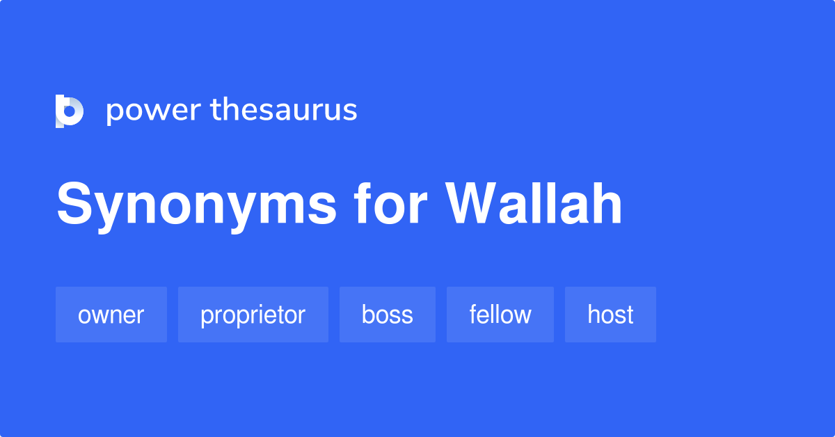 WALLAH Synonyms: 22 Similar Words & Phrases