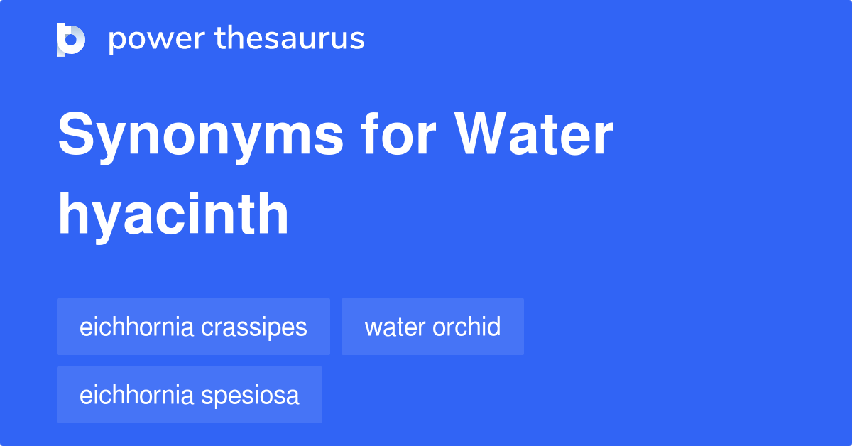 Water Hyacinth synonyms - 5 Words and Phrases for Water Hyacinth