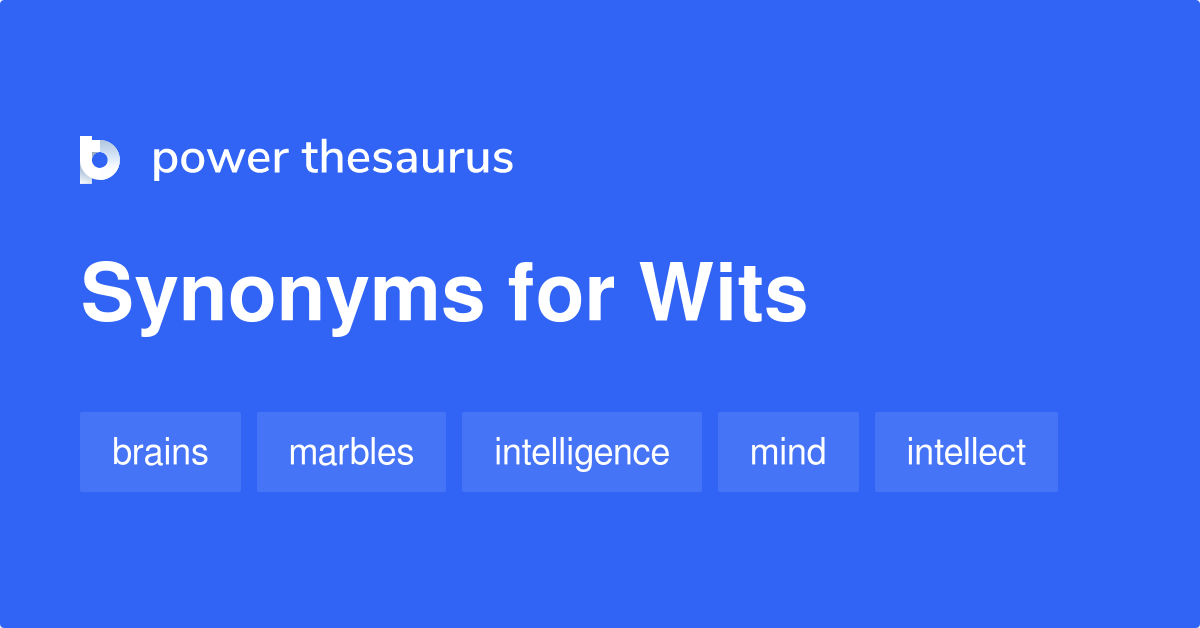WITS Synonyms: 456 Similar Words & Phrases