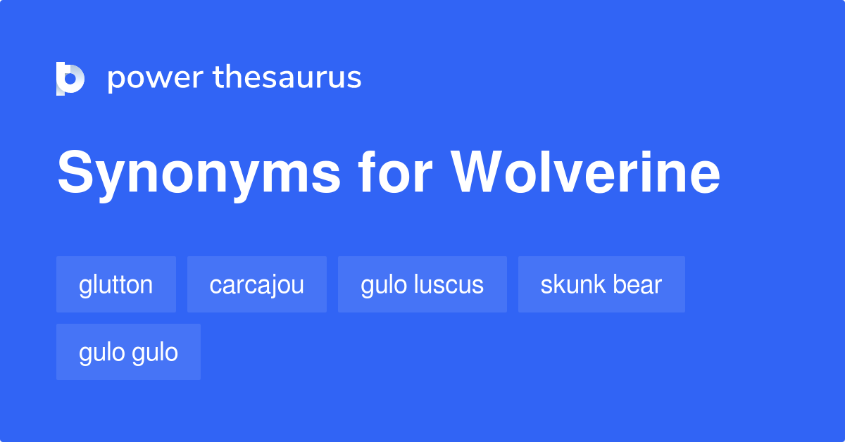 WOLVERINE Synonyms: 161 Similar Words & Phrases