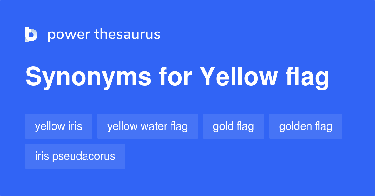 Yellow Flag synonyms - 89 Words and Phrases for Yellow Flag