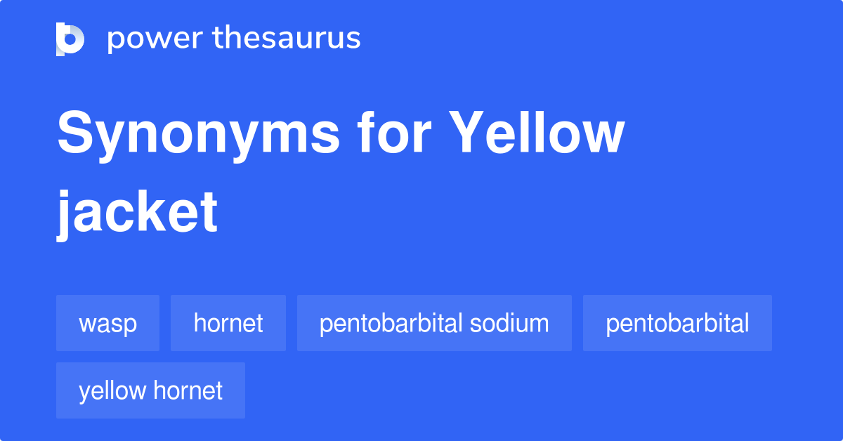 172 YELLOW JACKET Synonyms