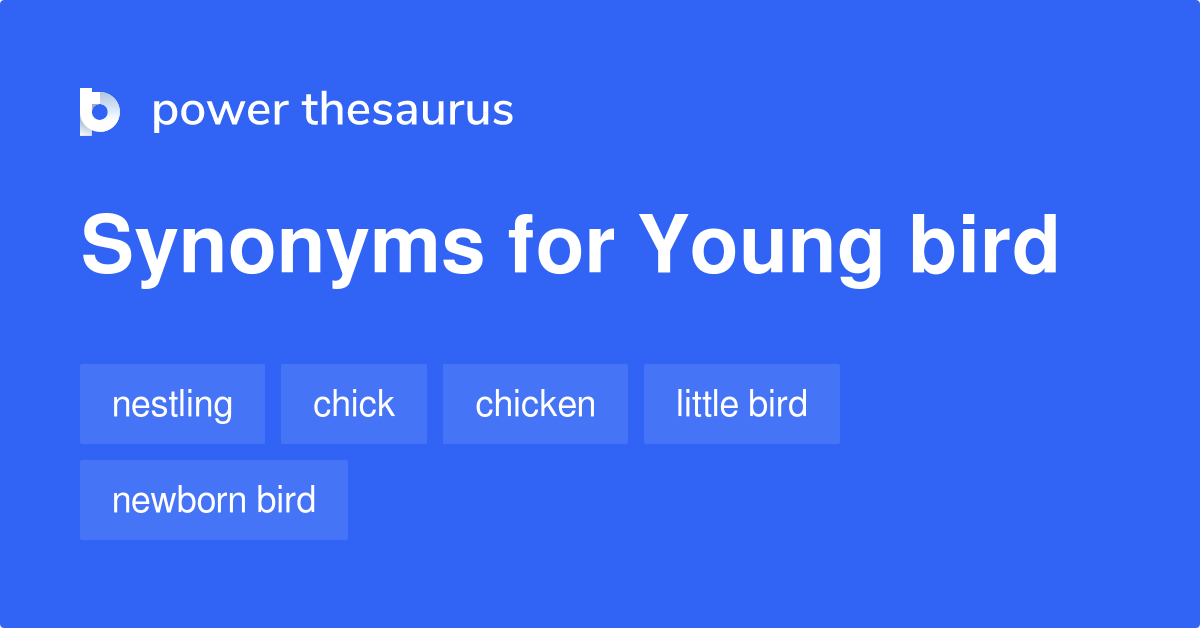 YOUNG BIRD Synonyms: 73 Similar Words & Phrases